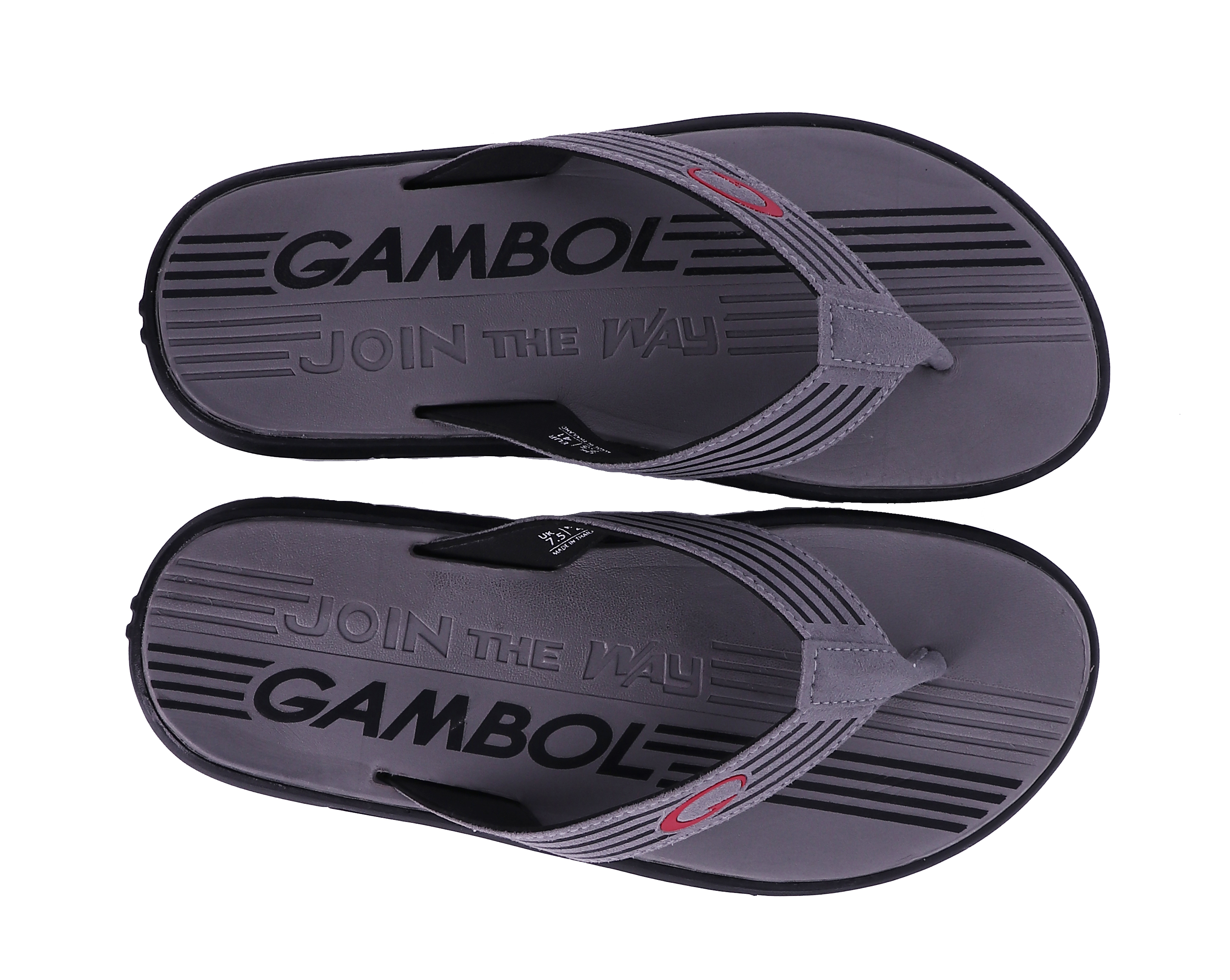 GM51030 - Gambol